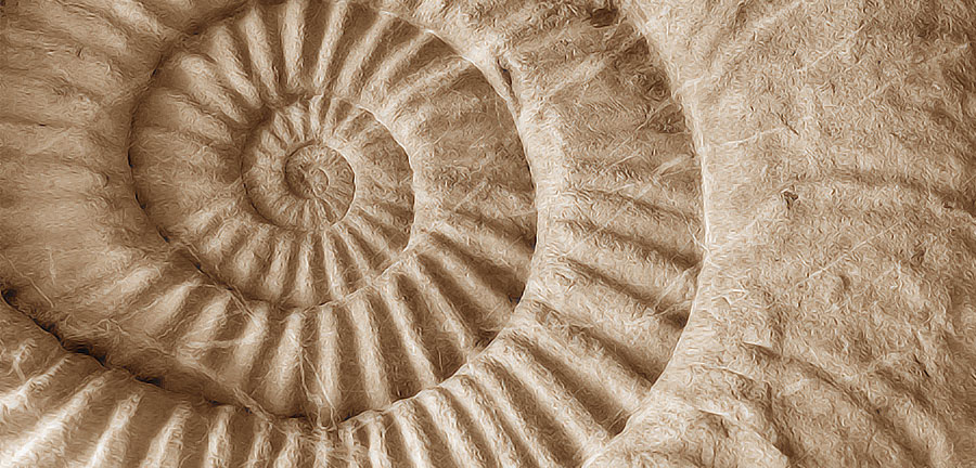 Fossilization in L2 learning - Alma Academy